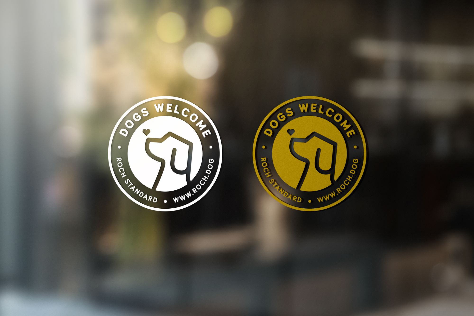 What Kind Of Problems Does The Roch Standard Solve?